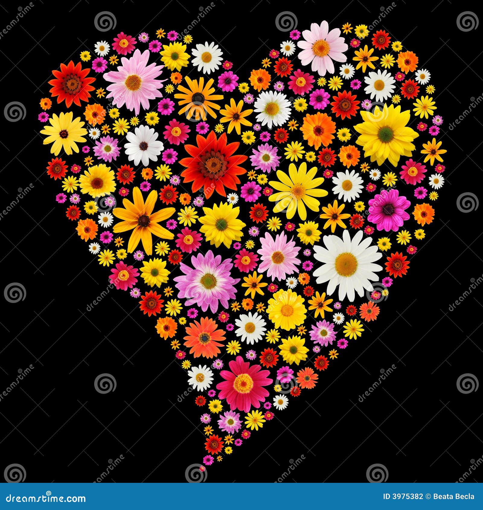 Spring heart stock photo. Image of anniversary, romance - 3975382