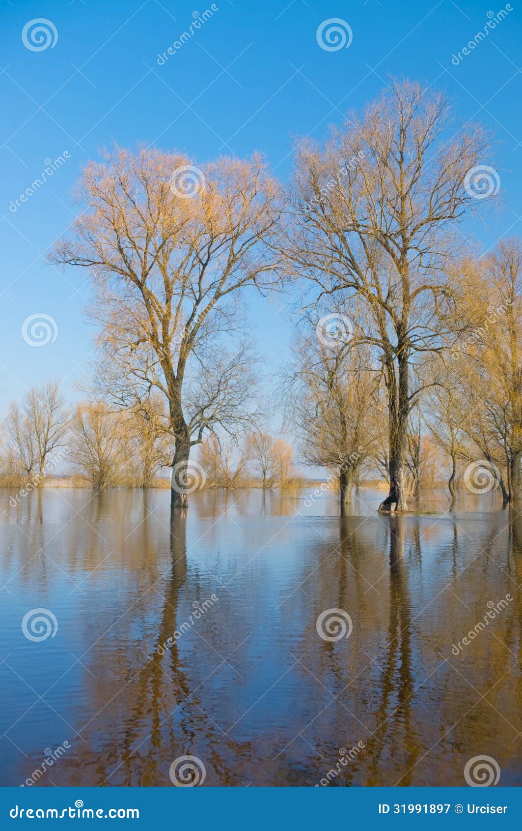 Spring high water stock image. Image of color, scene - 31991897
