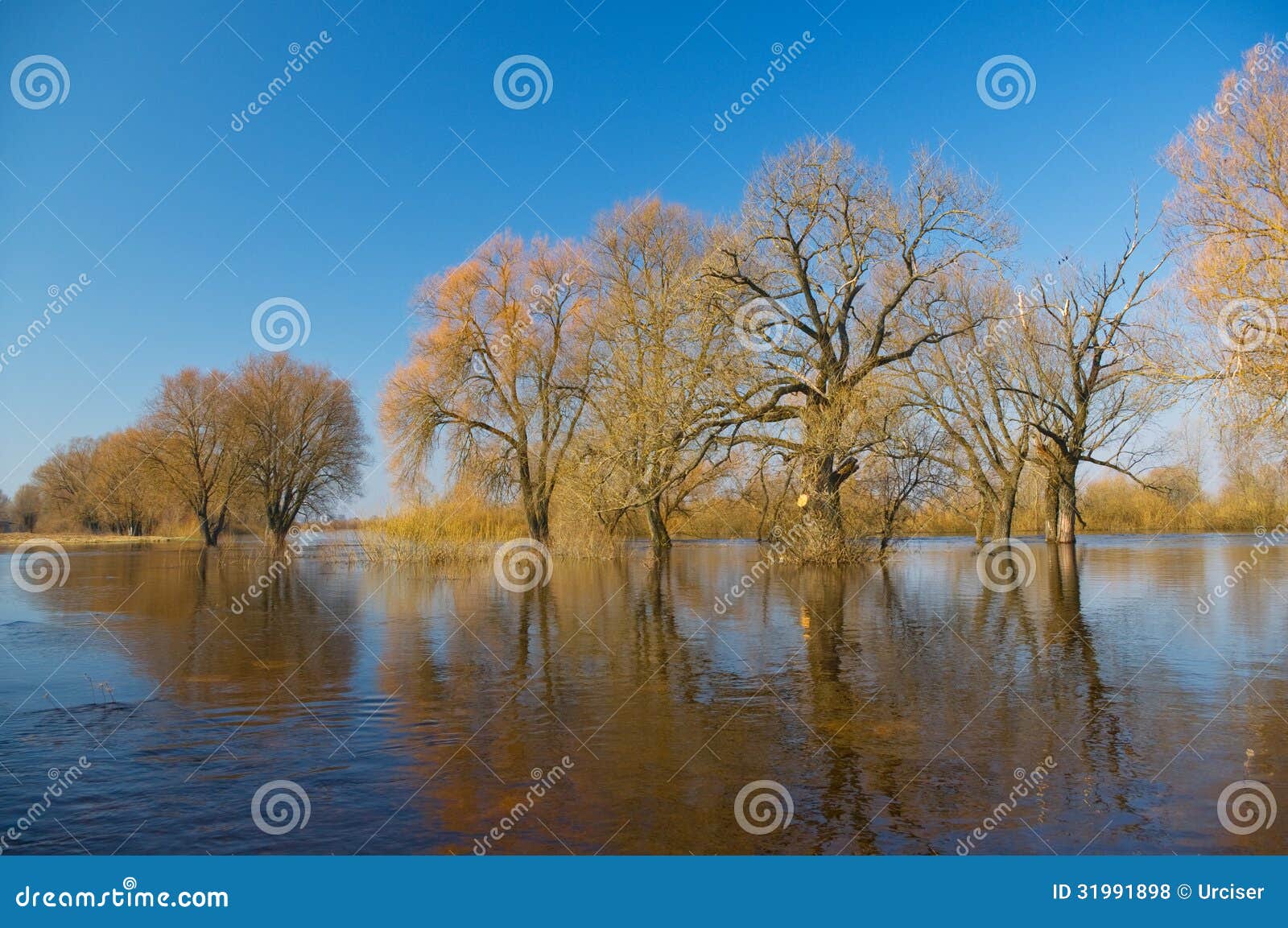 Spring high water stock photo. Image of reflection, landscape - 31991898