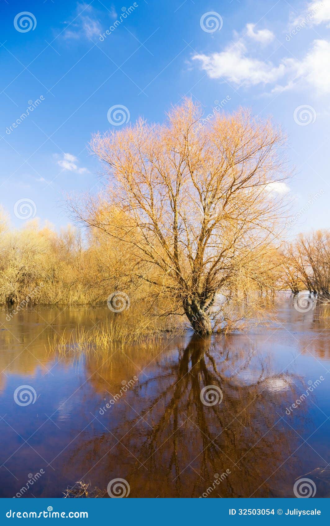Spring high water stock photo. Image of water, high, beautiful - 32503054