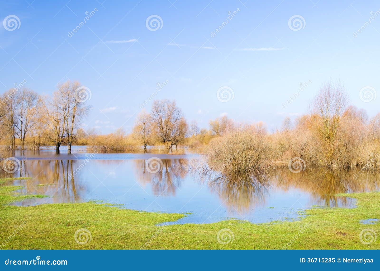 Spring high water stock image. Image of bushes, early - 36715285