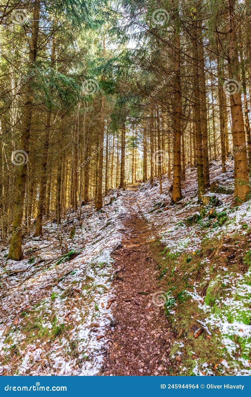 Spring Hike through the Thuringian Forest Near Floh-Seligenthal Stock ...