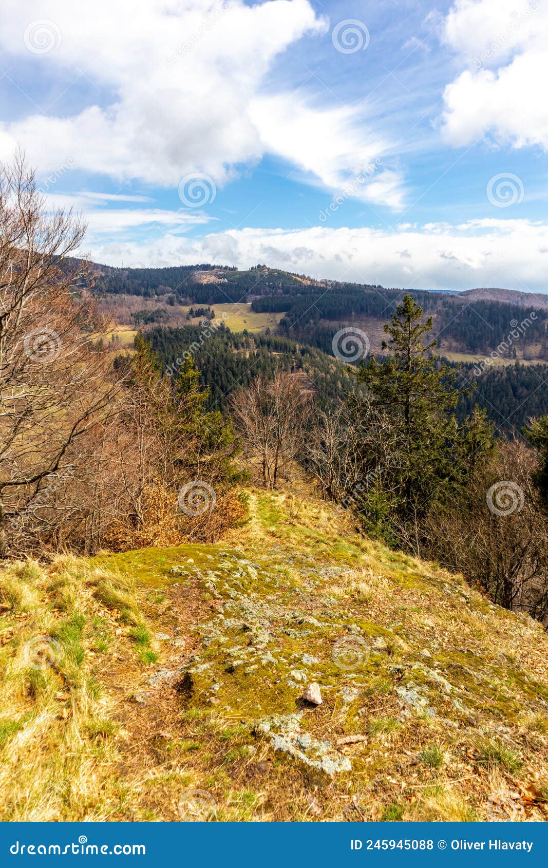 Spring Hike through the Thuringian Forest Near Floh-Seligenthal Stock ...