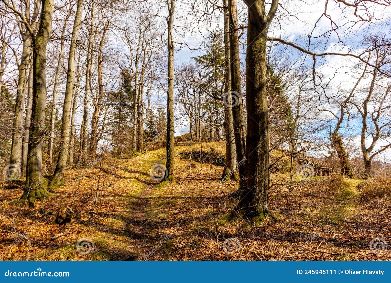 Spring Hike through the Thuringian Forest Near Floh-Seligenthal Stock ...