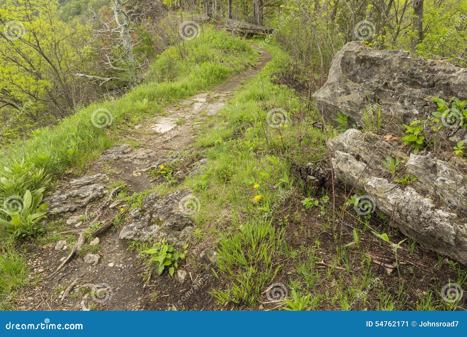 Spring Hiking Trail Scenic stock image. Image of countryside - 54762171