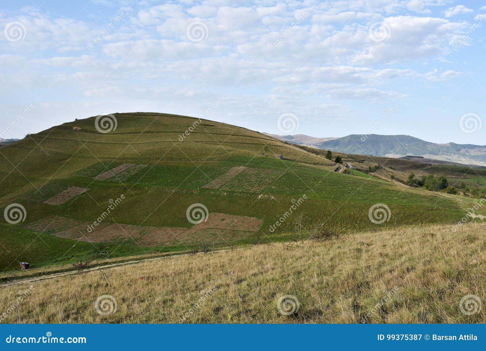 The spring on the hills stock image. Image of rolling - 99375387
