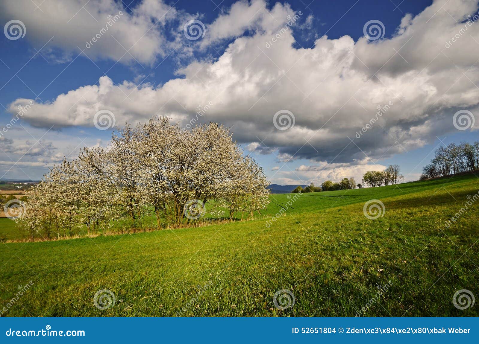 Spring on the hillside stock photo. Image of grassland - 52651804