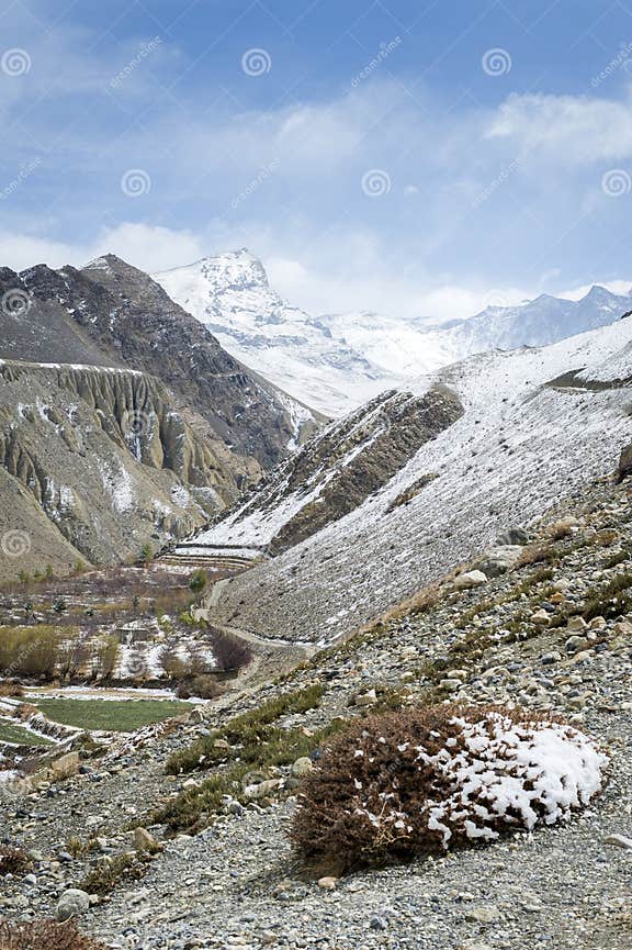 Spring in Himalaya Mountains Stock Image - Image of himalay, base: 24160259