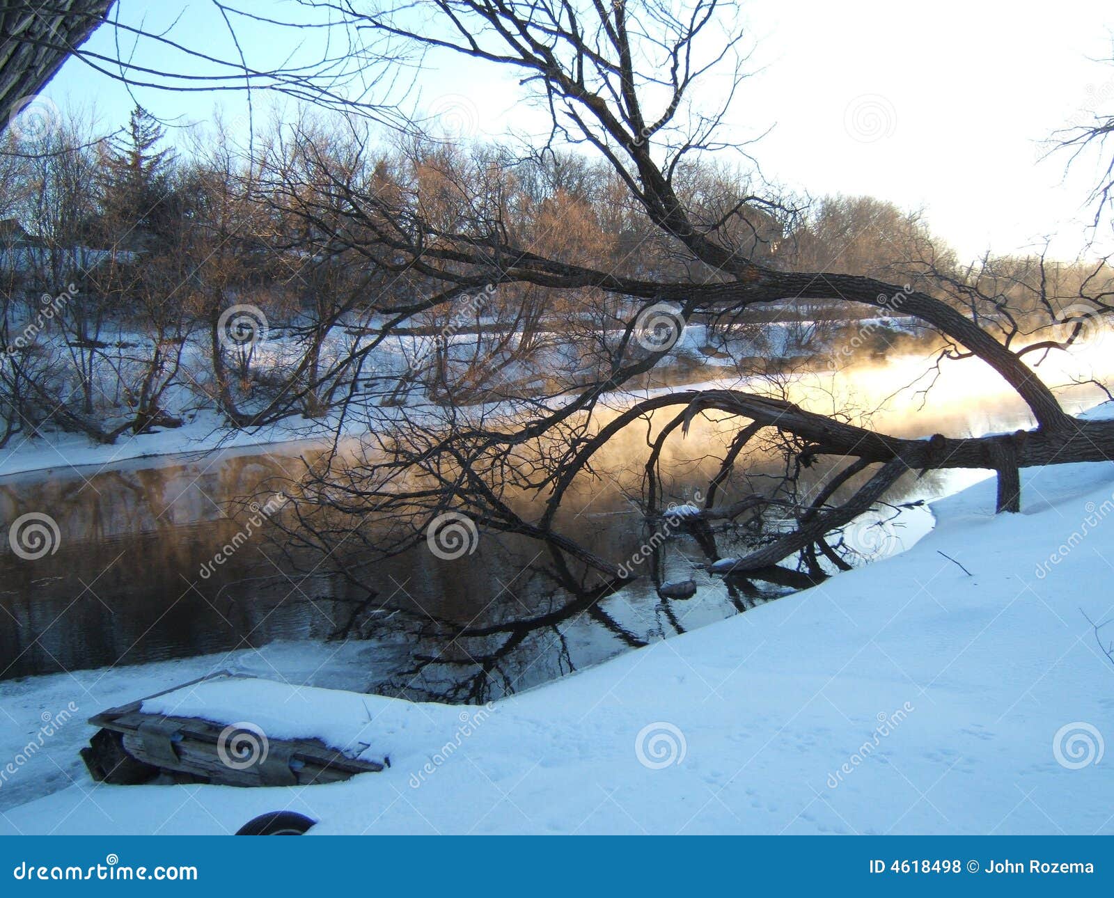 Spring hope stock photo. Image of fish, early, nature - 4618498