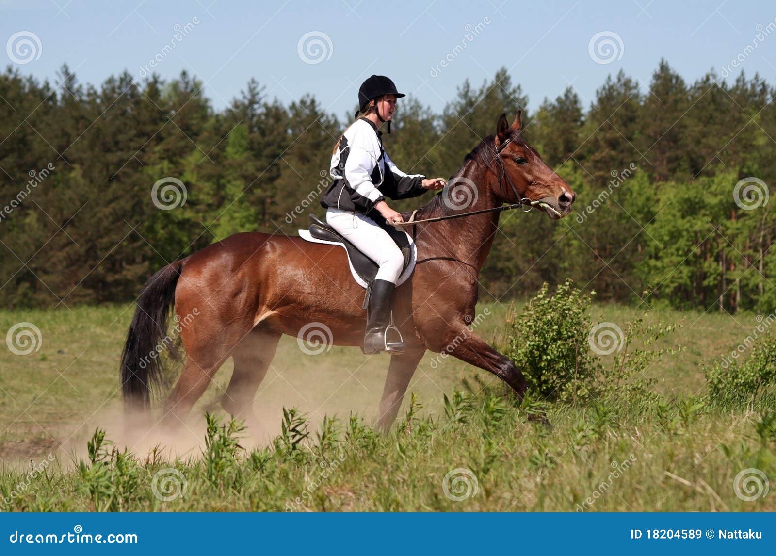 Spring horse race editorial stock image. Image of endurance - 18204589