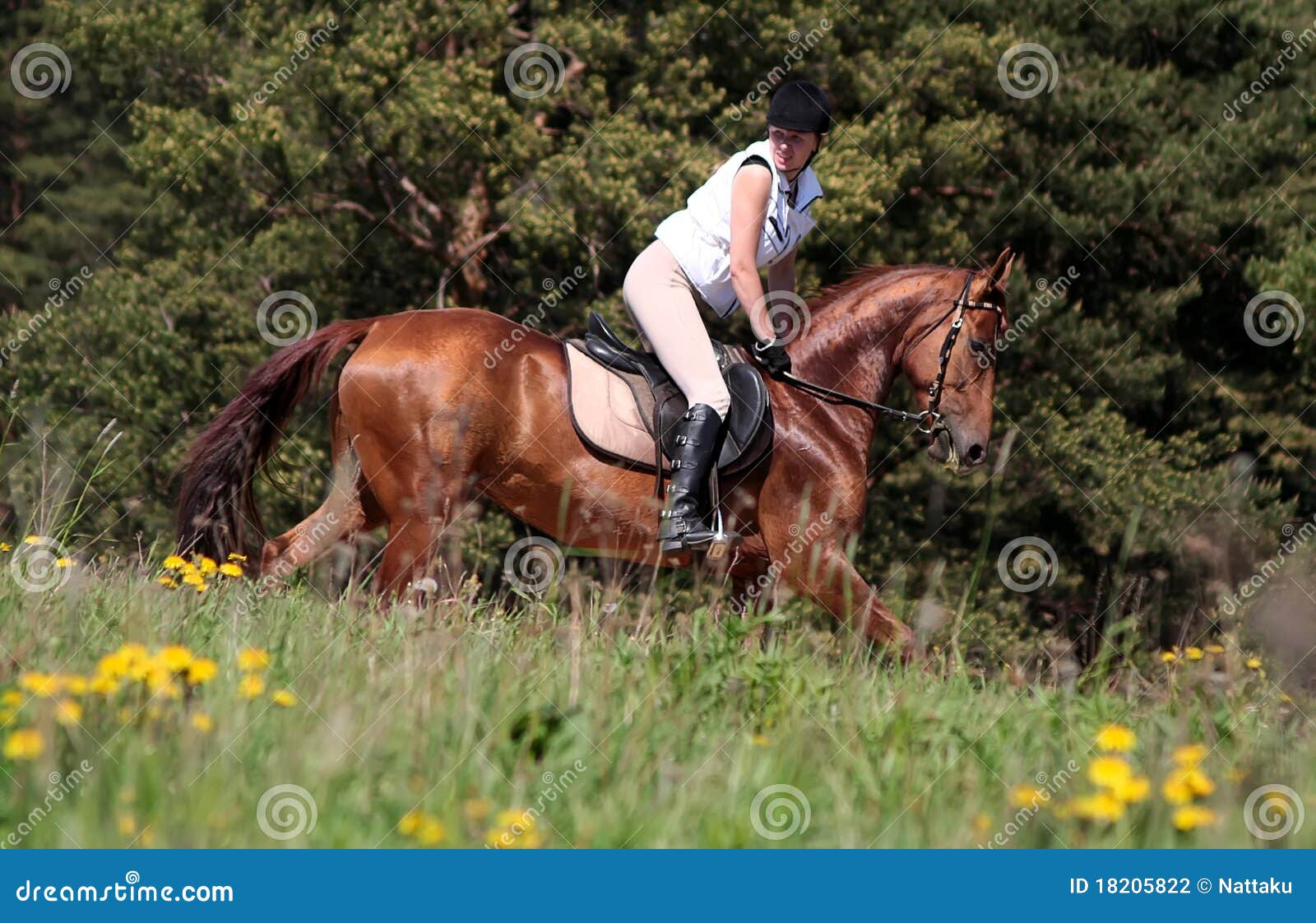 Spring horse race editorial photography. Image of leader - 18205822