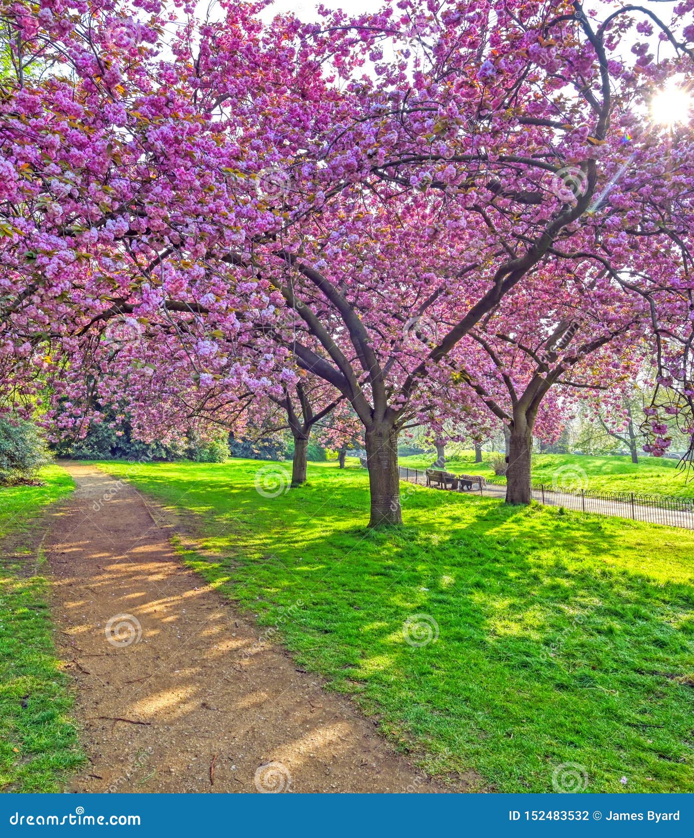 Hyde Park in London, UK stock photo. Image of nature - 152483532