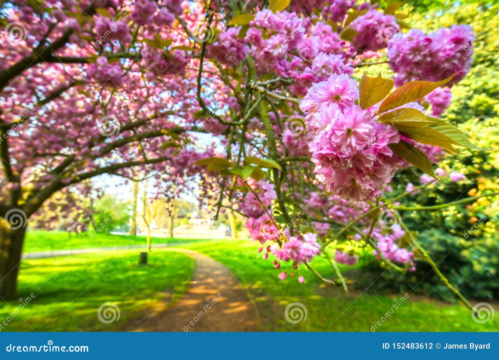 Hyde Park in London, UK stock photo. Image of tourism - 152483612