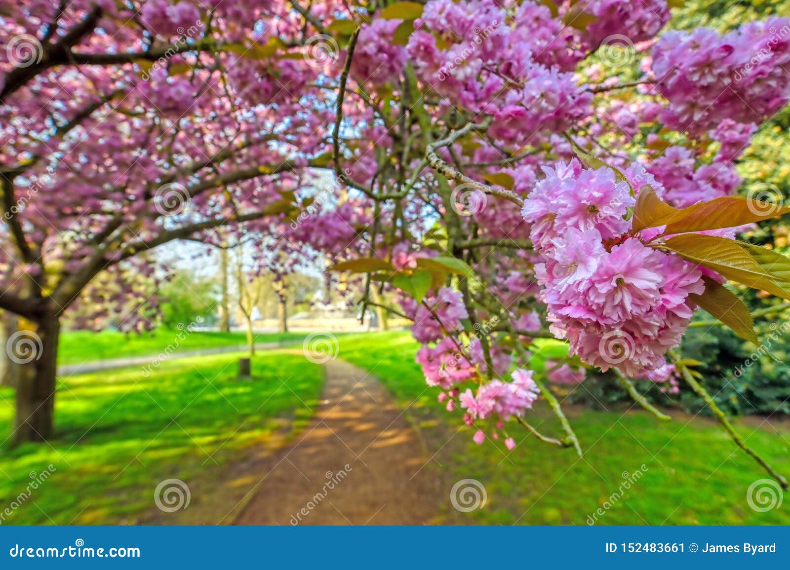Hyde Park in London, UK stock image. Image of britain - 152483661