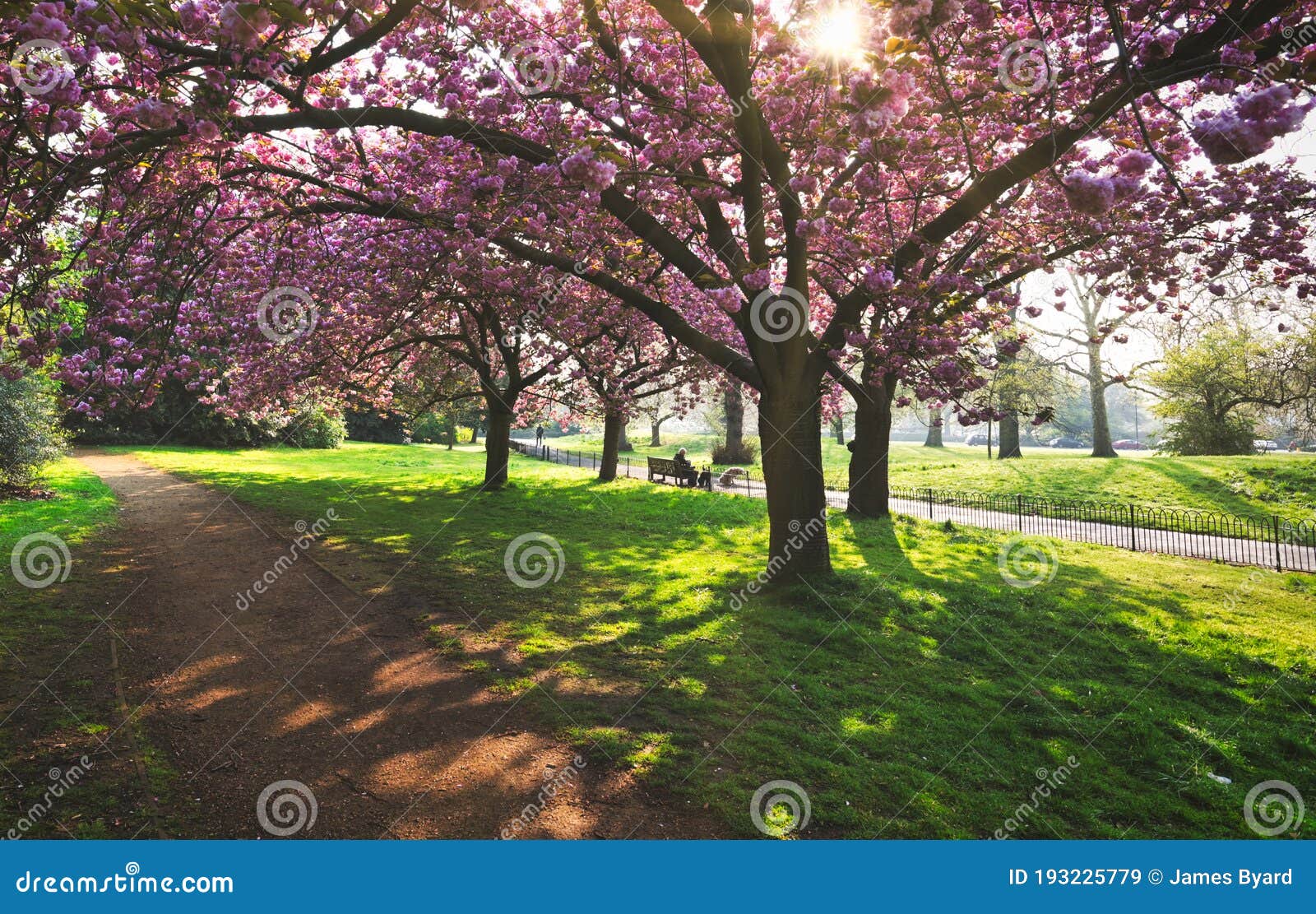 Spring in Hyde Park in London, UK Stock Image - Image of park, season ...