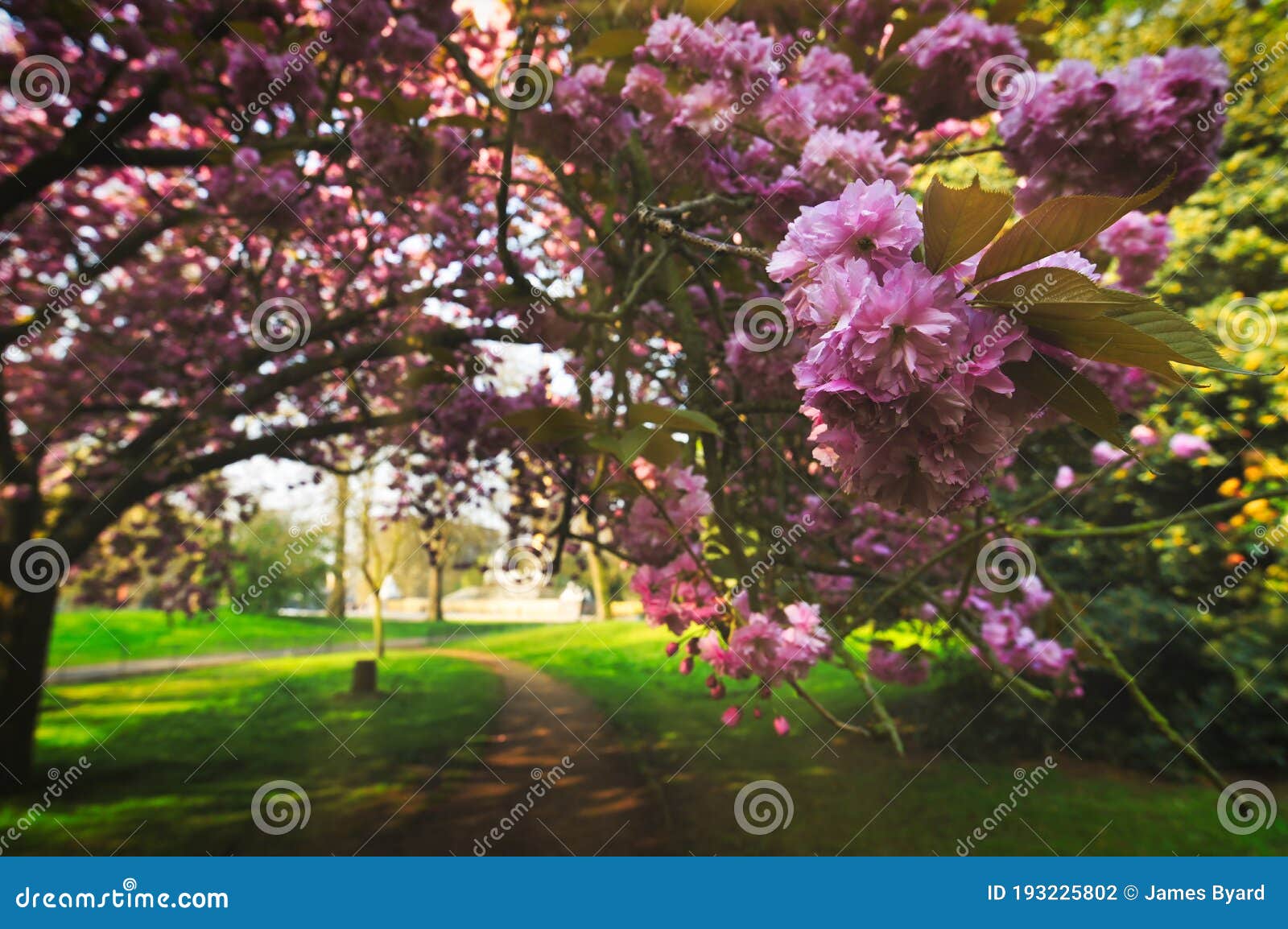 Spring In Hyde Park, London Stock Image | CartoonDealer.com #25028479