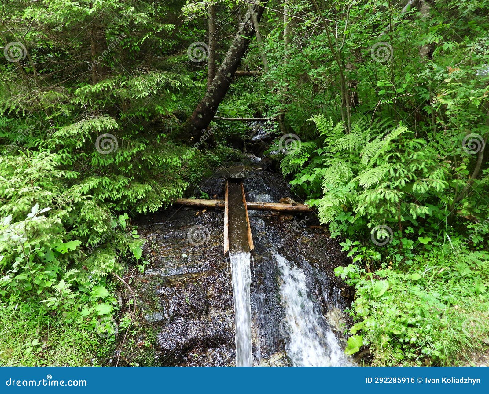 Spring (hydrology) stock photo. Image of park, wooden - 292285916