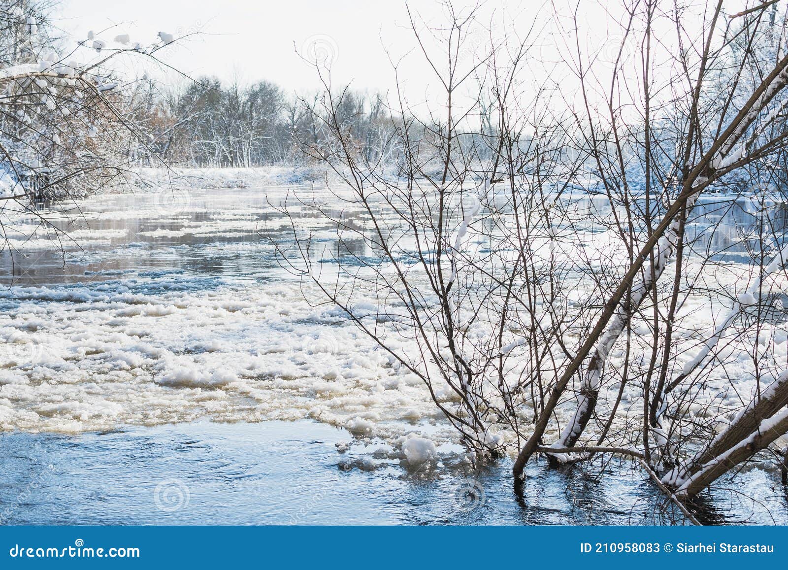 Spring Ice Melting on the River Stock Image - Image of natural, nature ...