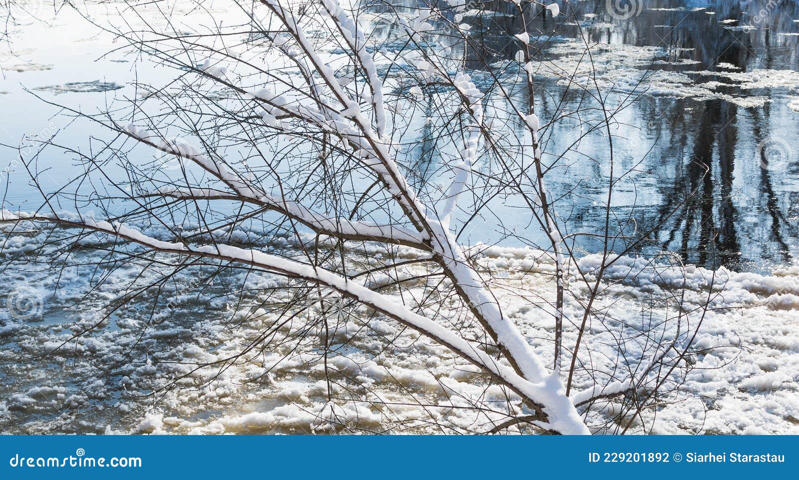 Spring Ice Melting on the River Stock Photo - Image of lake, arctic ...