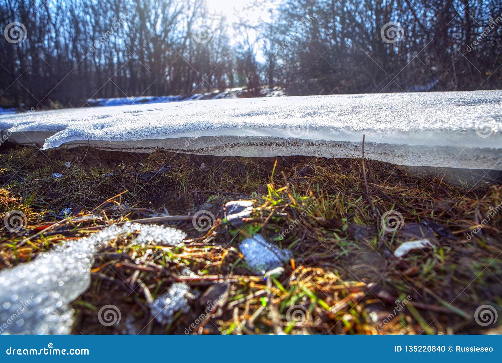 Spring ice stock photo. Image of foliage, closeup, fall - 135220840