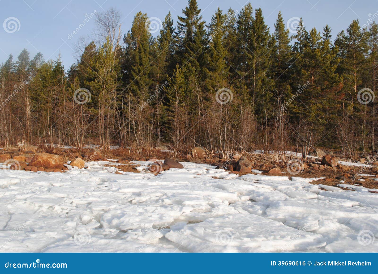 Spring icy beachfront stock photo. Image of landscape - 39690616