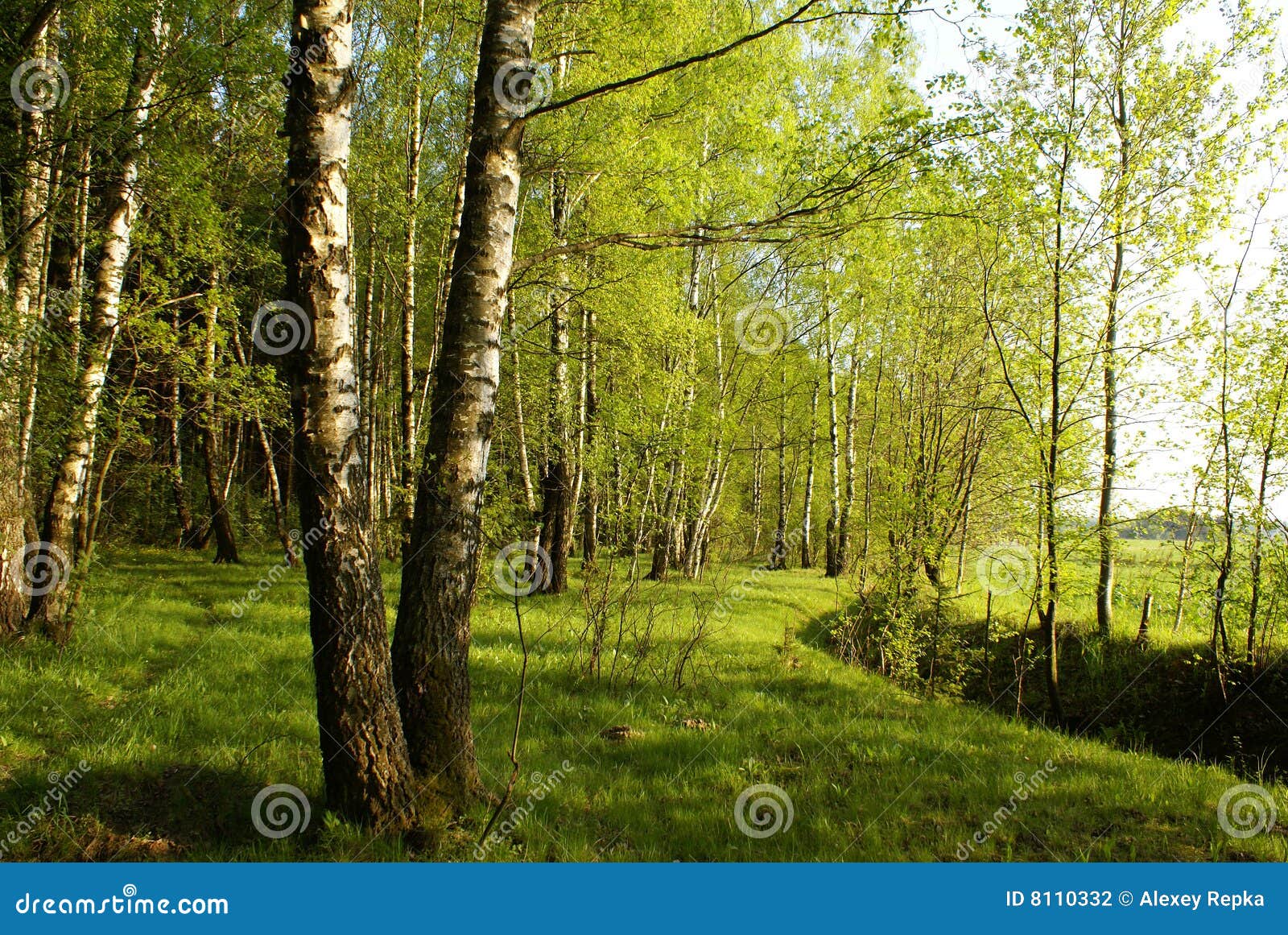 Spring idyllic landscape stock photo. Image of rural, urban - 8110332