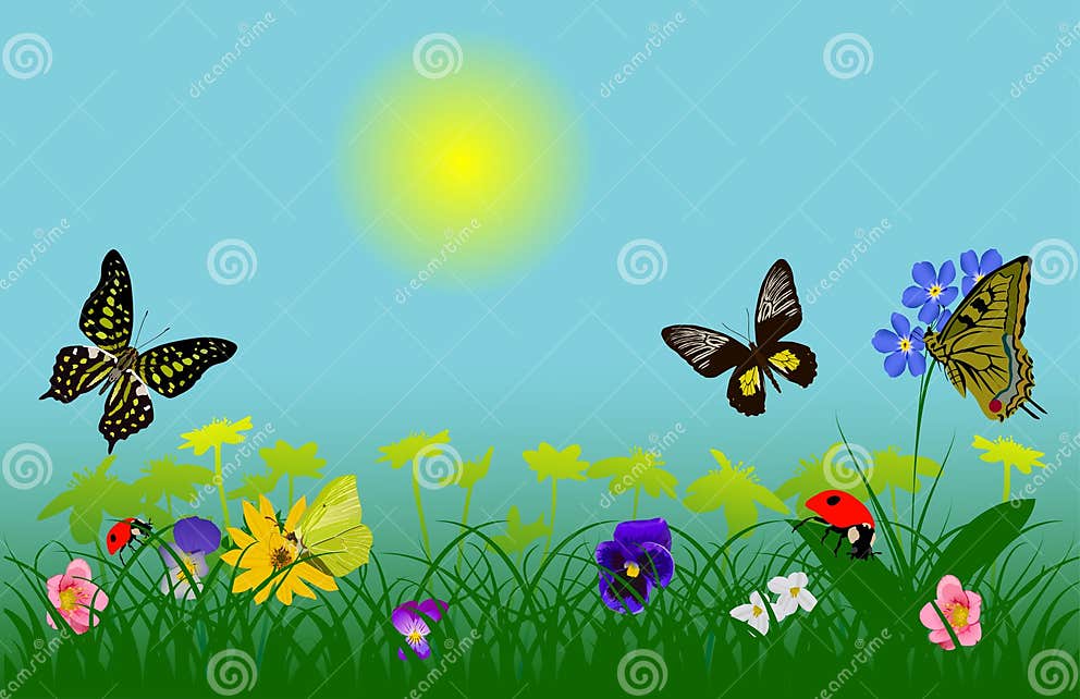 Spring insects and flowers stock vector. Illustration of ladybug - 18722935