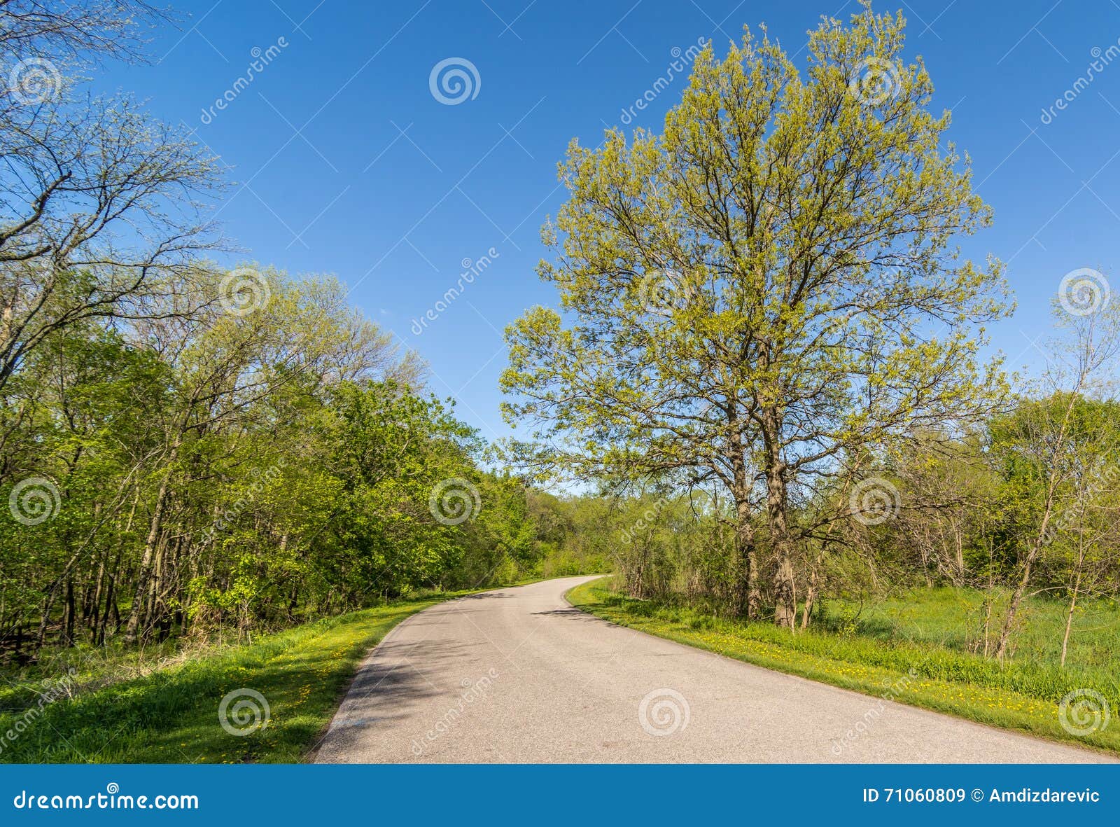 Spring in Iowa stock image. Image of meadow, countryside - 71060809