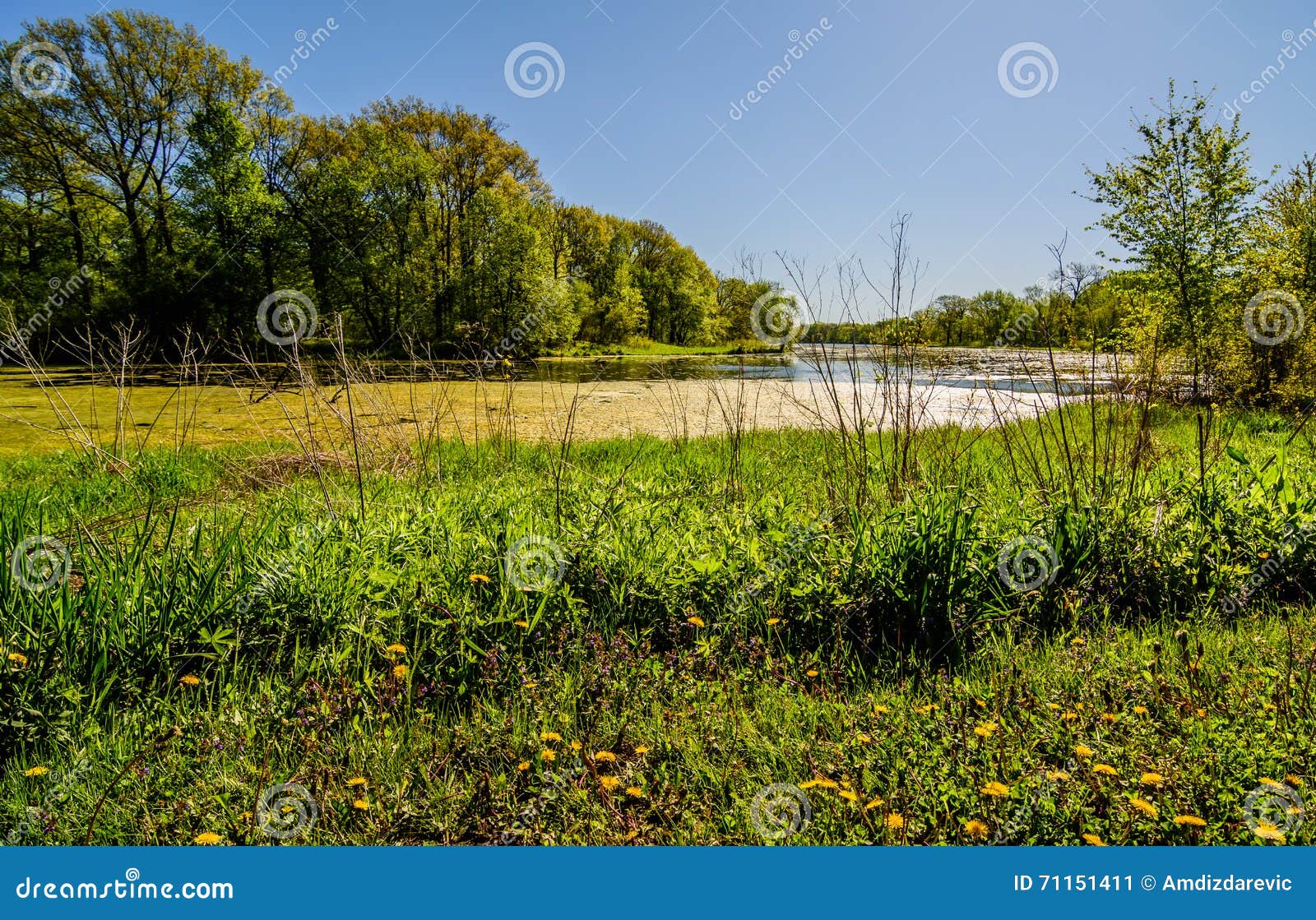 Spring in Iowa stock image. Image of farm, green, grass - 71151411