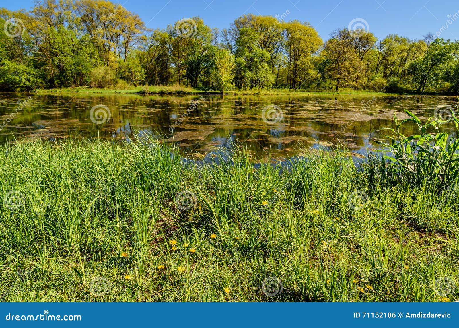 Spring in Iowa stock photo. Image of countryside, beautiful - 71152186