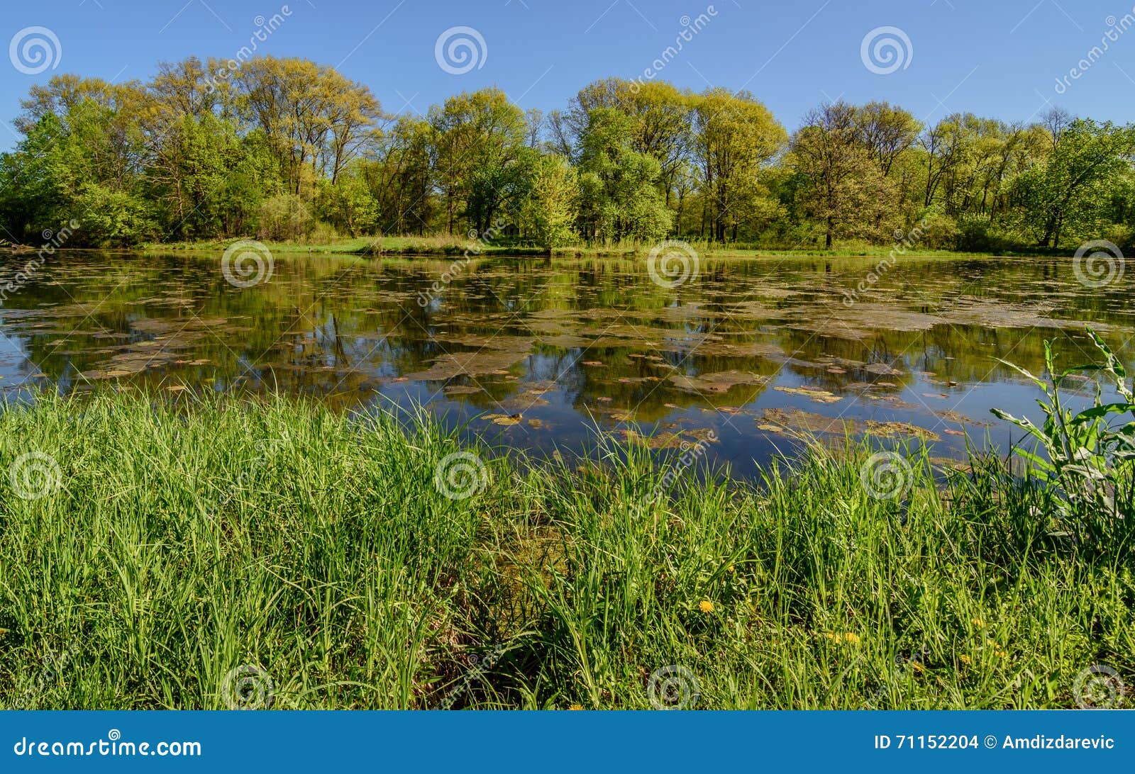 Spring in Iowa stock photo. Image of cloudy, fields, captured - 71152204