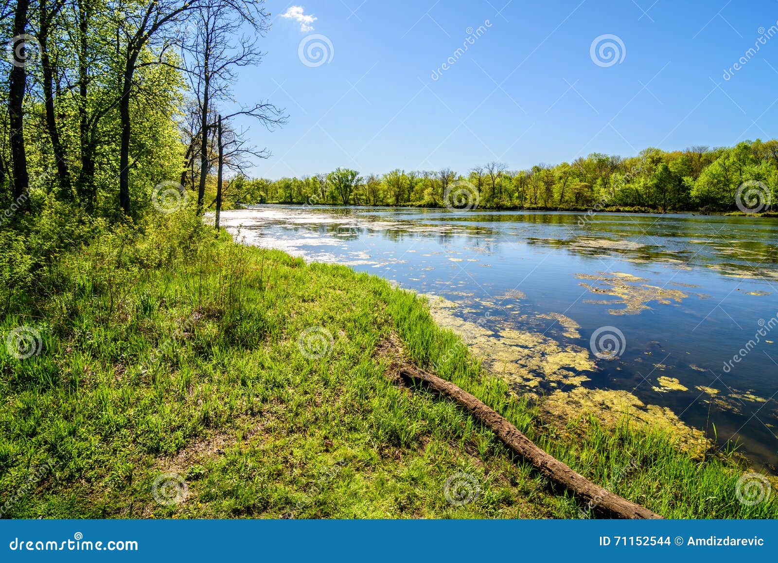 Spring in Iowa stock photo. Image of beautiful, farm - 71152544