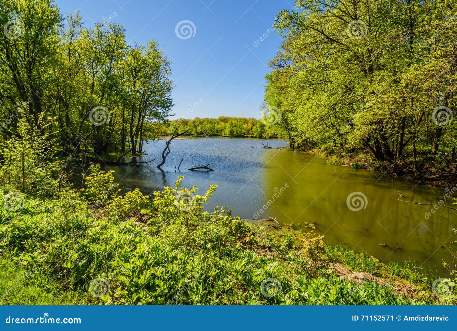 Spring in Iowa stock image. Image of fields, beautiful - 71152571