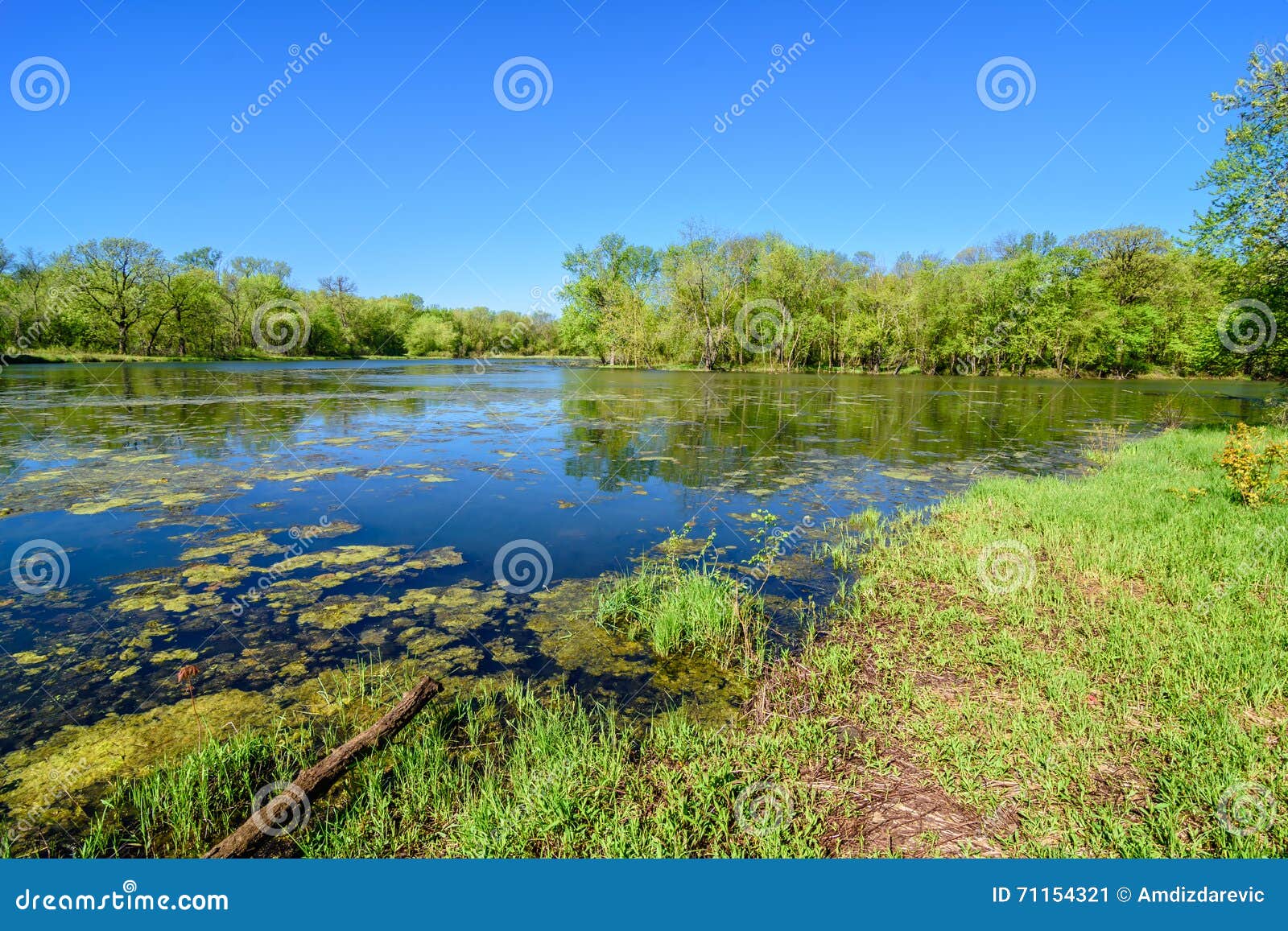 Spring in Iowa stock image. Image of green, country, cloud - 71154321
