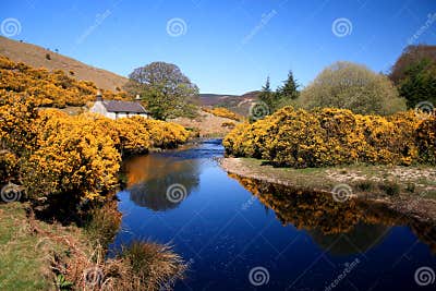 Spring in Ireland stock photo. Image of landscape, glendalough - 5185652