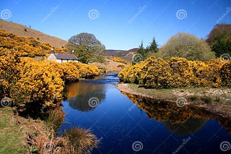 Spring in Ireland stock photo. Image of landscape, glendalough - 5185652