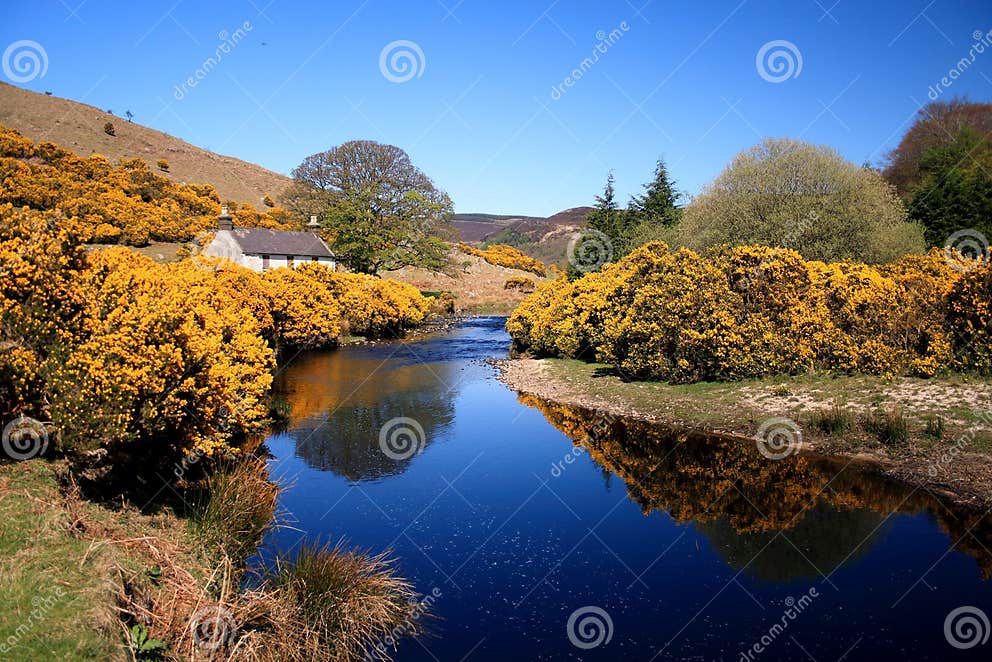 Spring in Ireland stock photo. Image of landscape, glendalough - 5185652