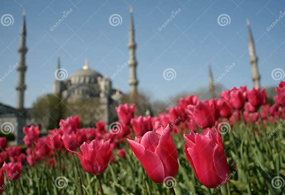 Spring in Istanbul stock image. Image of istanbul, antique - 9206961