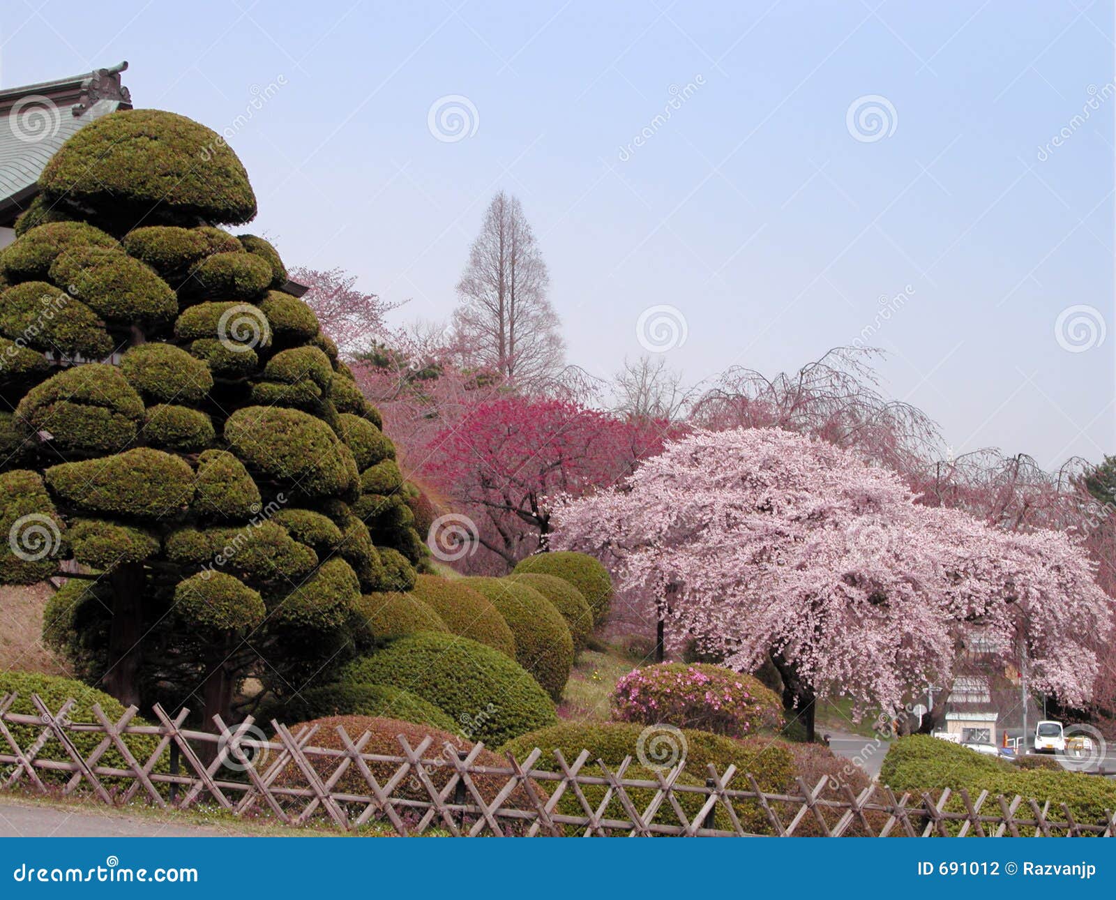 Spring Japanese garden stock photo. Image of vegetation - 691012