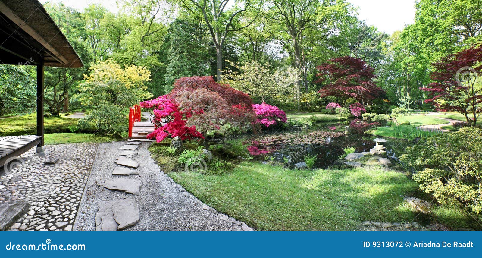 Spring in japanese garden stock photo. Image of plants - 9313072