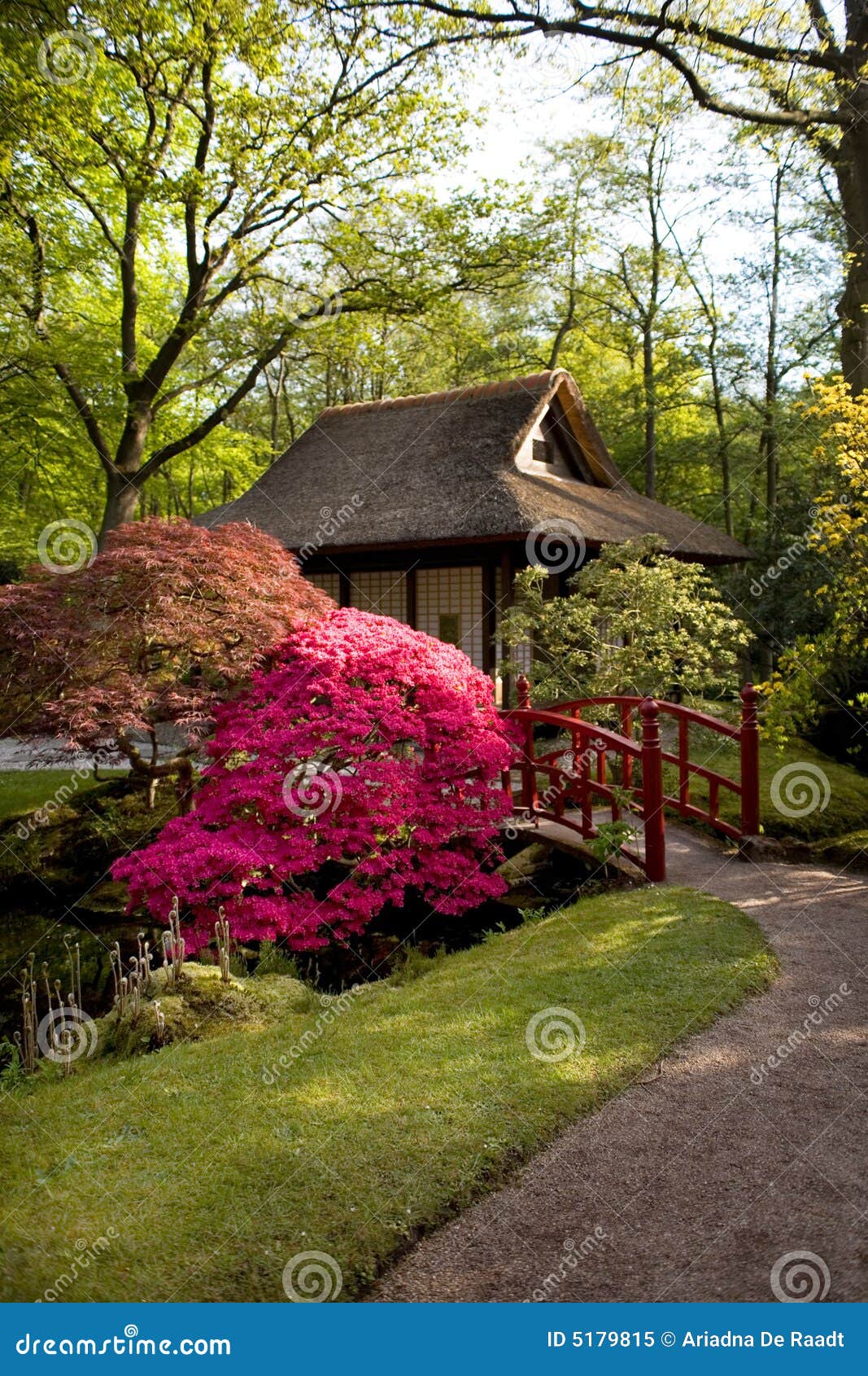 Spring in Japanese park stock image. Image of exoticism - 5179815