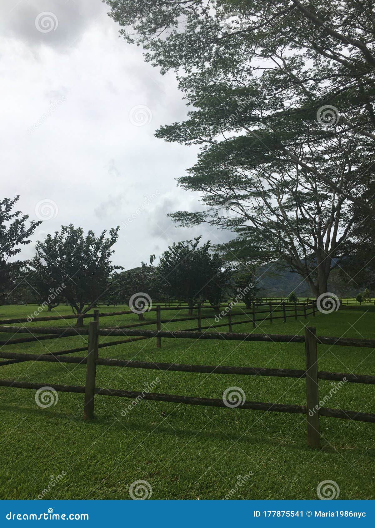 Spring on Kauai Island, Hawaii. Stock Image - Image of mountains ...