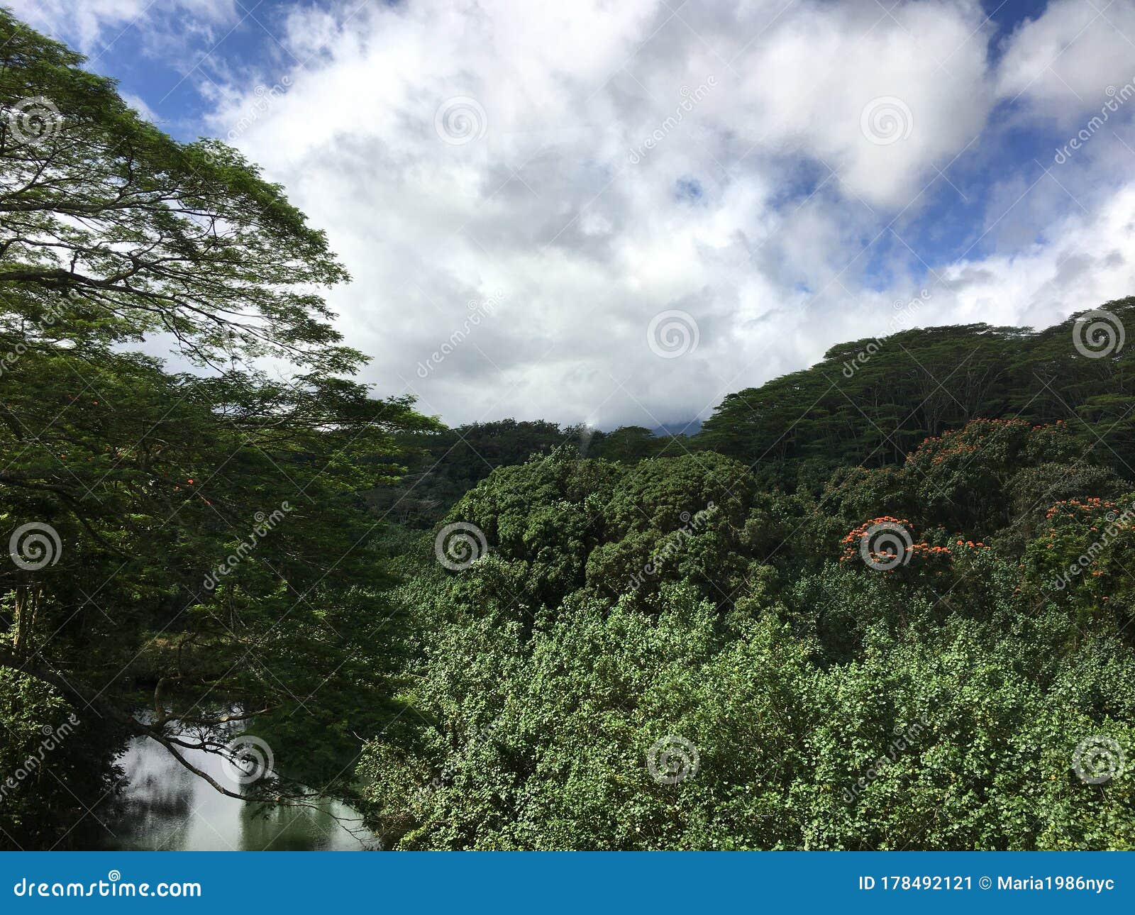 Spring on Kauai Island, Hawaii. Stock Image - Image of kauai, sunlight ...