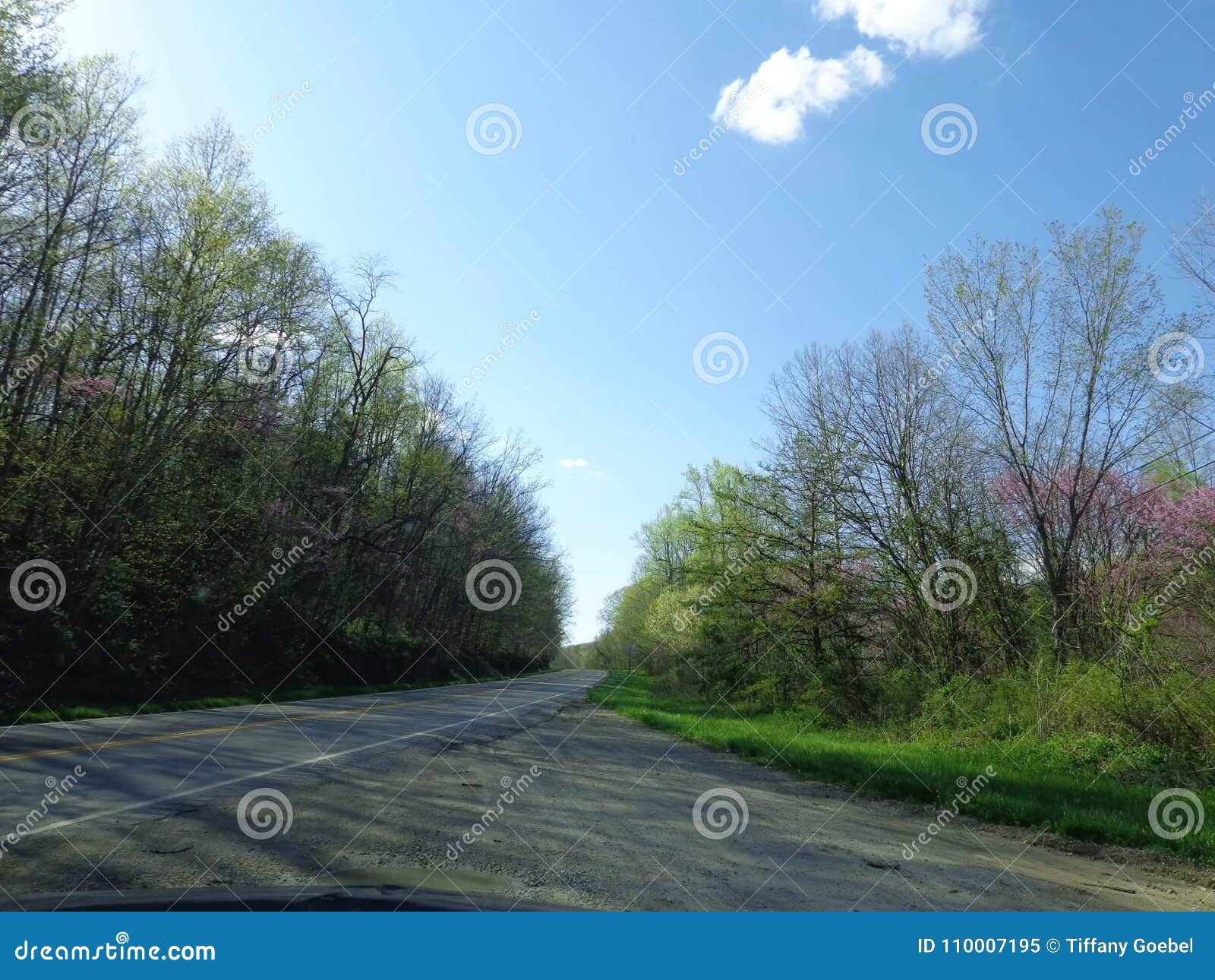 Spring in kentucky stock image. Image of kentucky, blooming - 110007195