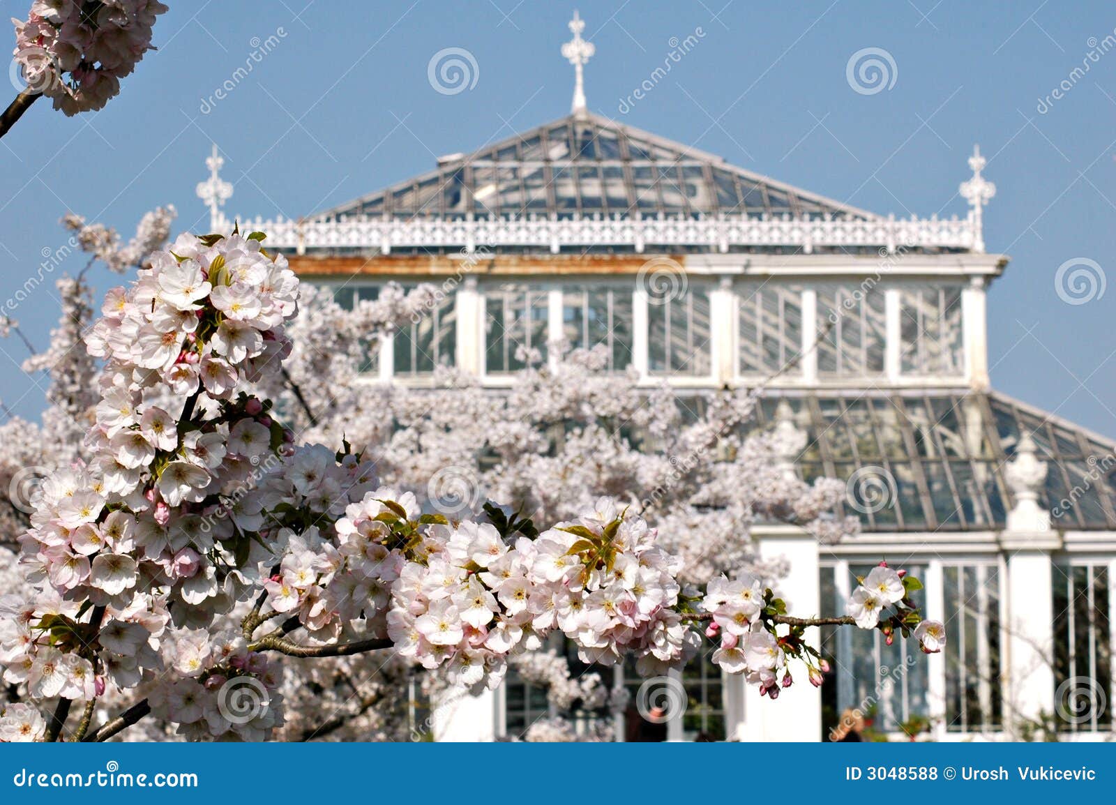 Spring in Kew Gardens, UK stock photo. Image of garden - 3048588