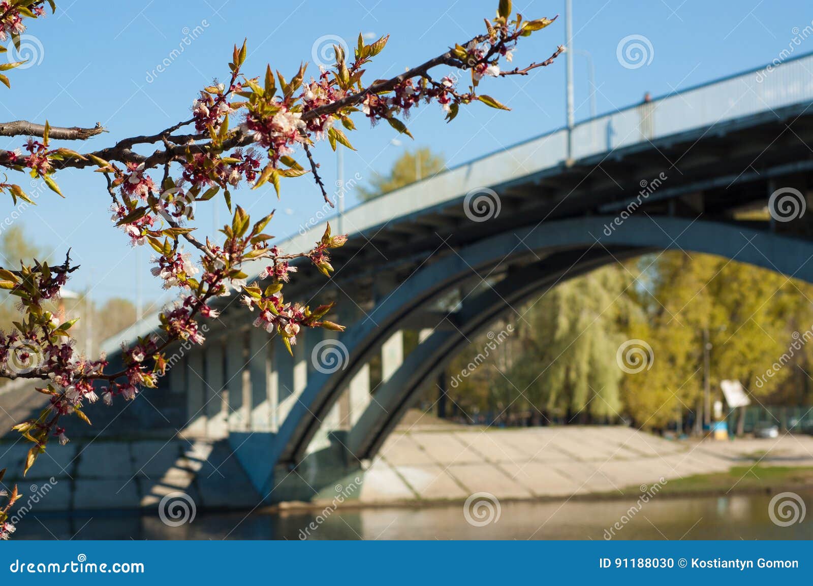 Spring in Kiev stock photo. Image of spring, city, branch - 91188030