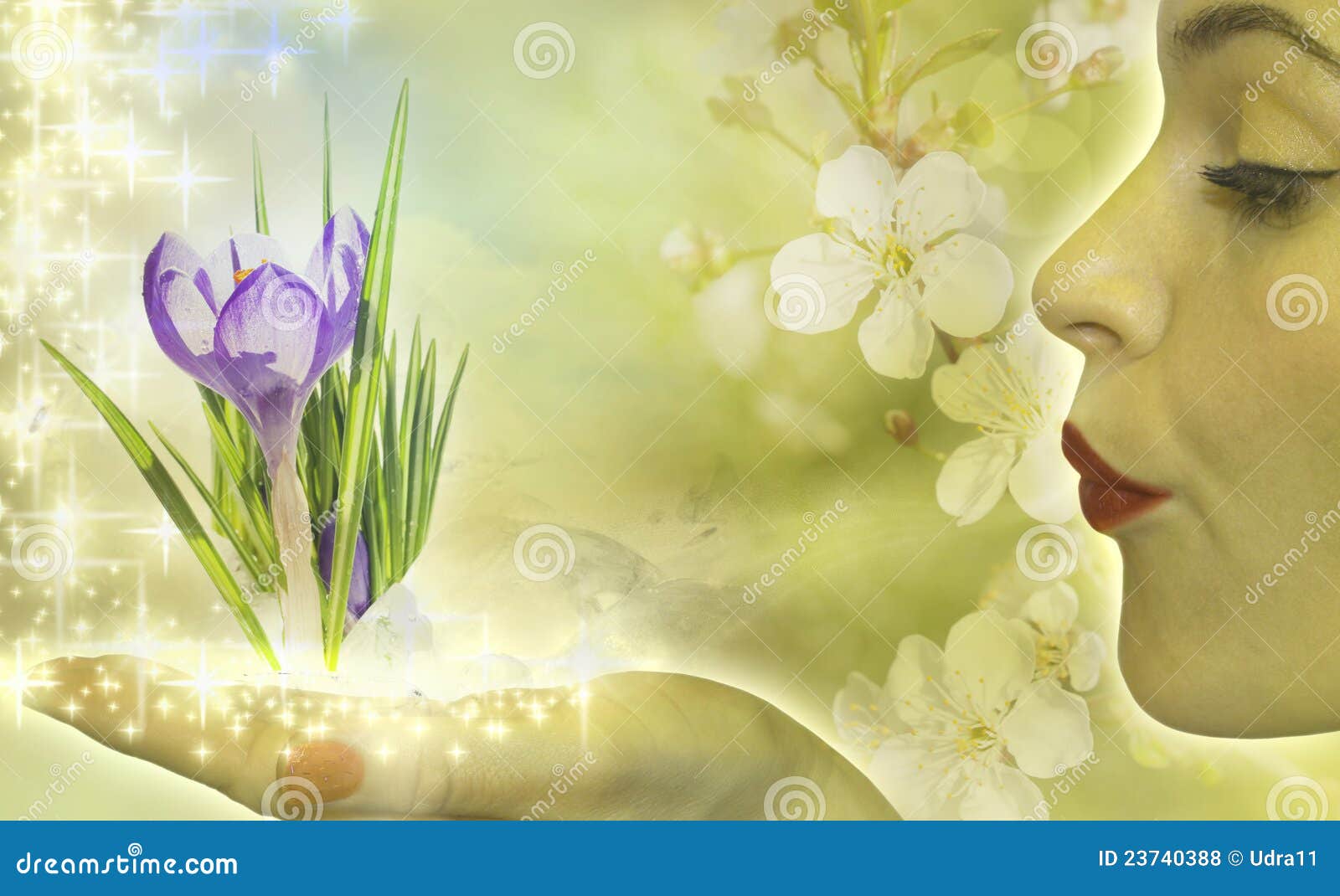 Spring Lady Stock Illustrations – 40,214 Spring Lady Stock ...