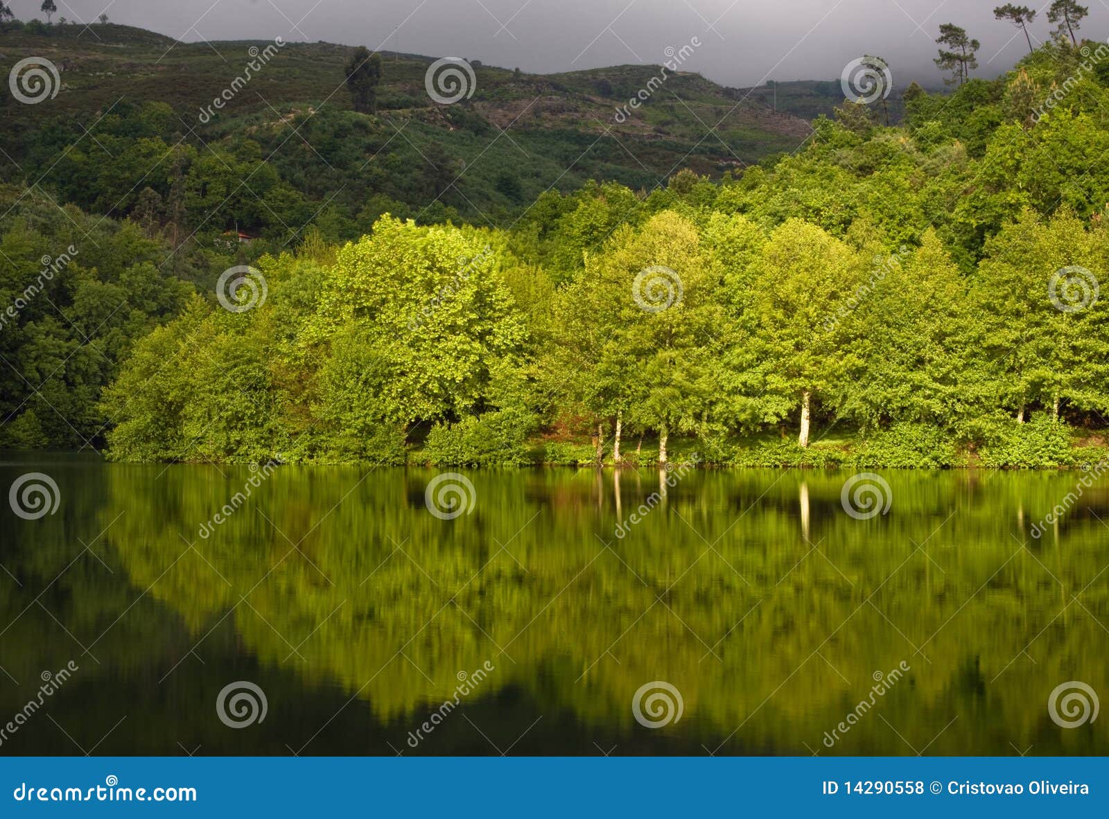 Spring lake stock photo. Image of seasons, edge, cloudscape - 14290558