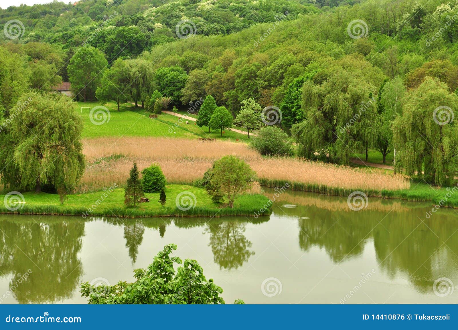 Spring at the Lake stock photo. Image of beach, trees - 14410876