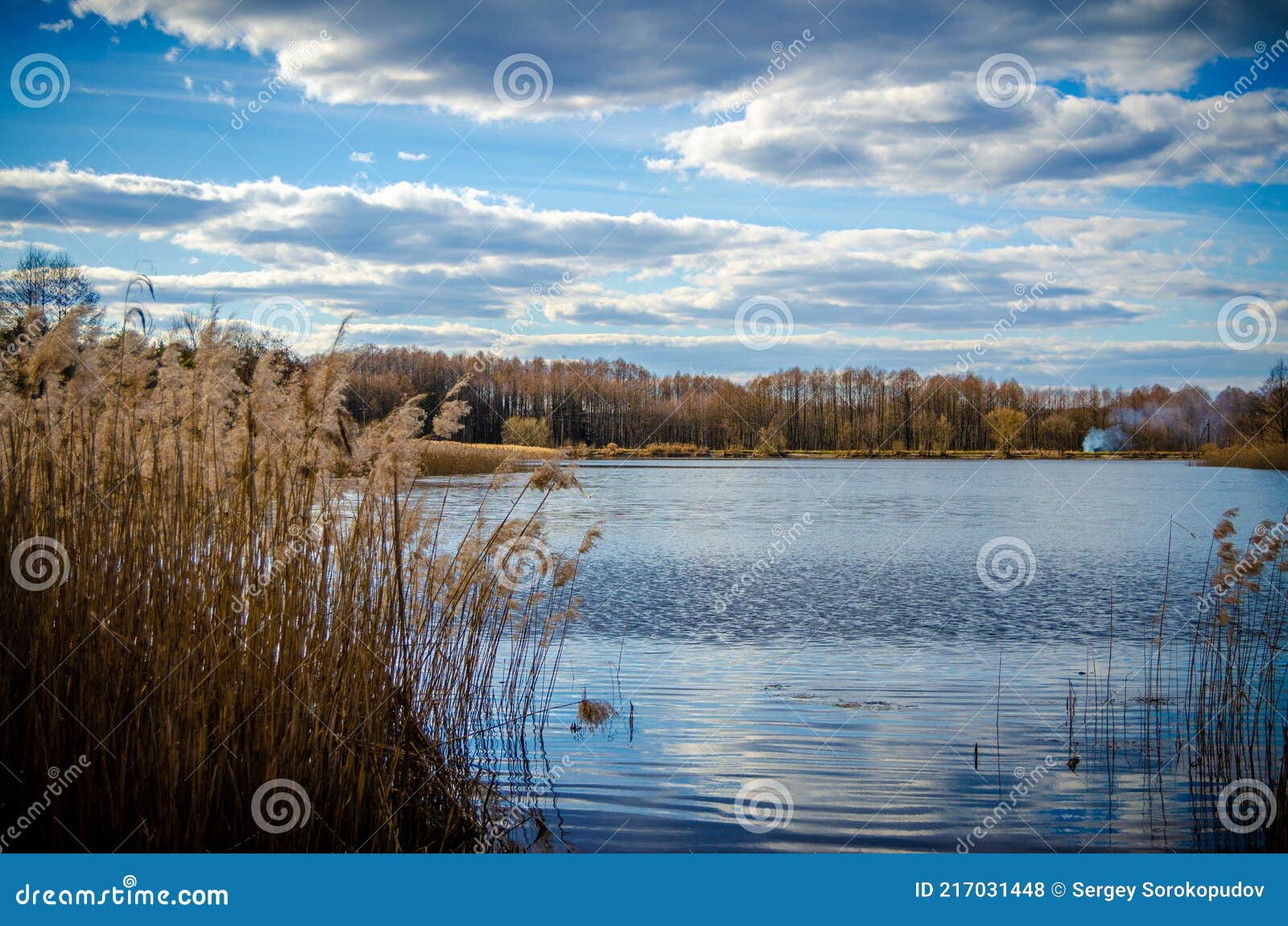 The spring lake stock photo. Image of lake, spring, water - 217031448